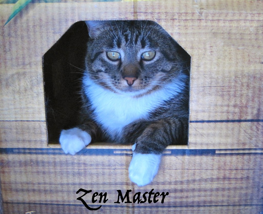 Living with Zen Master, Thomas, and Anniversary Discount - Patricia ...